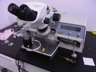 Lab. | Mizukami Laboratory