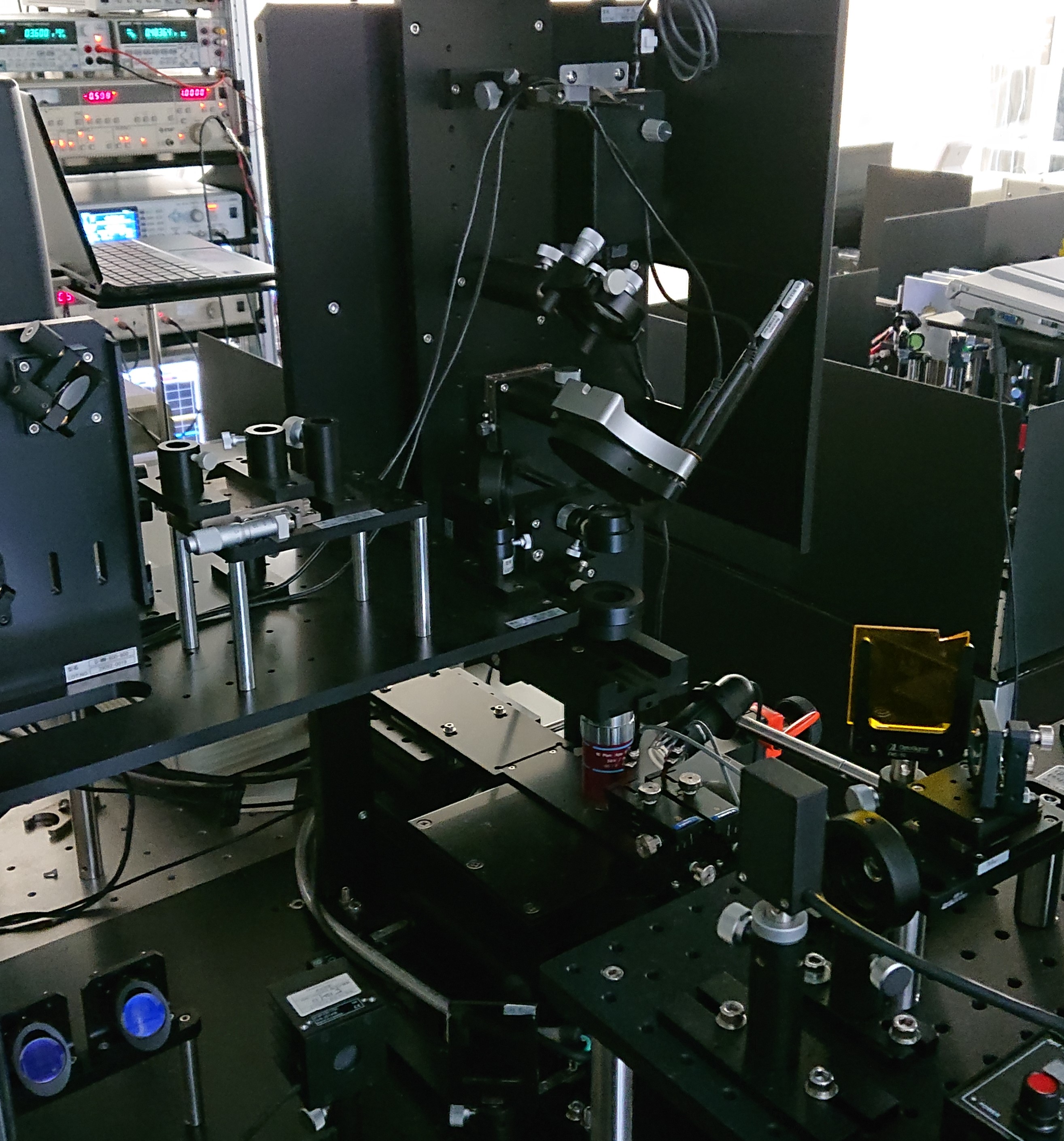 Lab. | Mizukami Laboratory