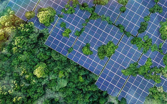 Rare Earth Single Atoms Enhance Manganese Oxide’s Electrochemical ...